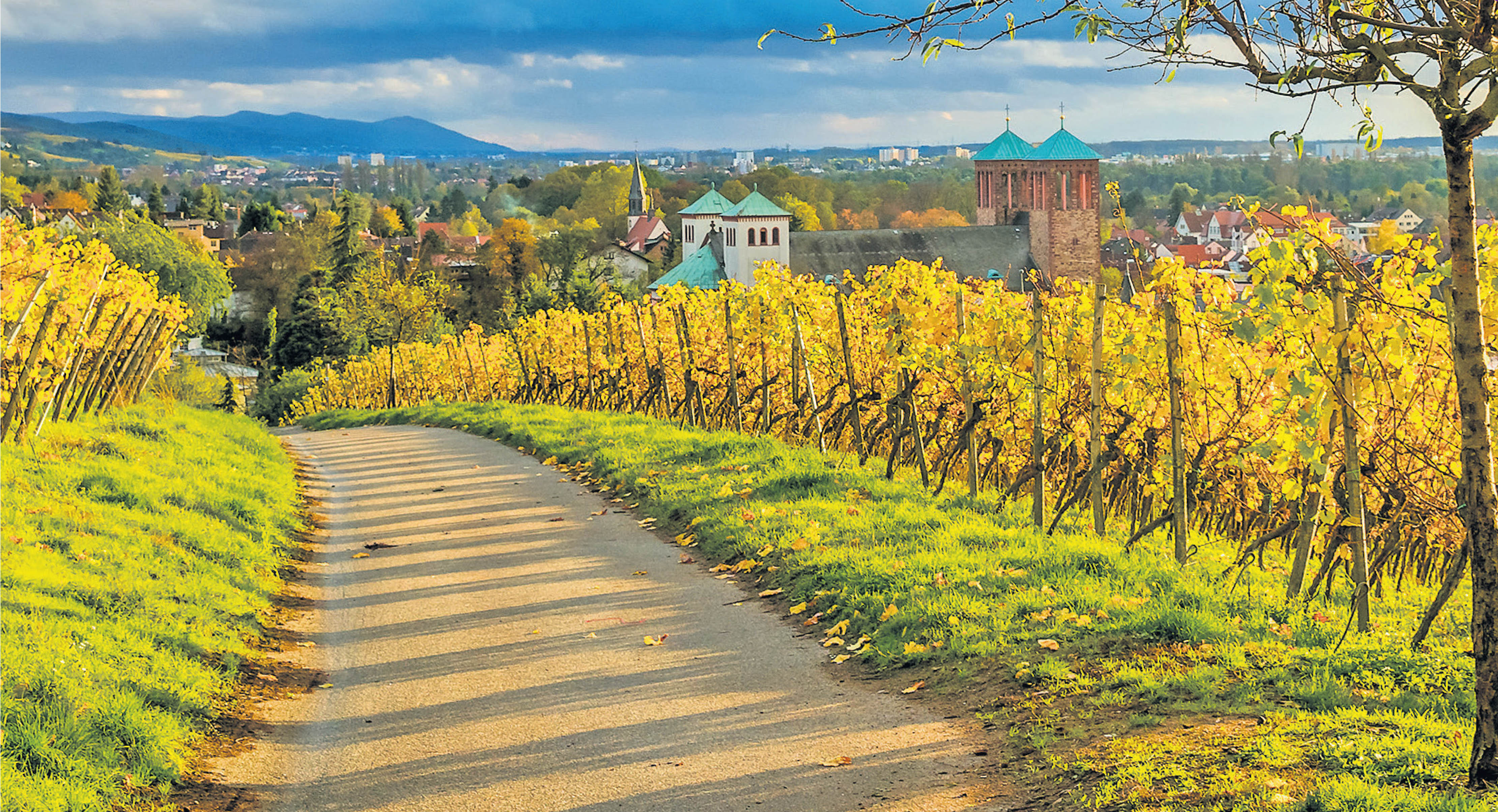 Sonderthemen - Mein Rhein-Main - BILD